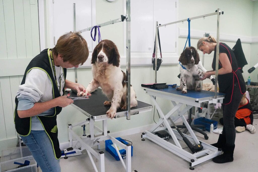 Adult Education by Activate Learning